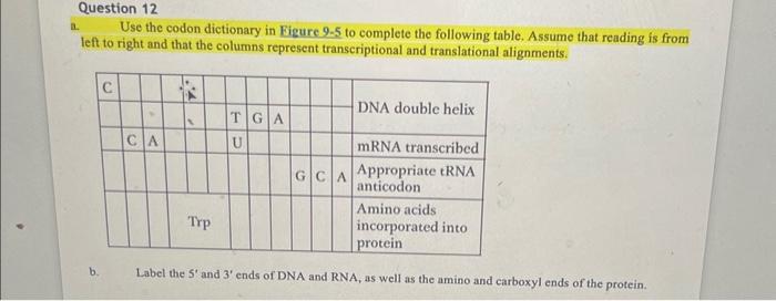 Solved a. Use the codon dictionary in Eigure 9-5 to complete | Chegg.com