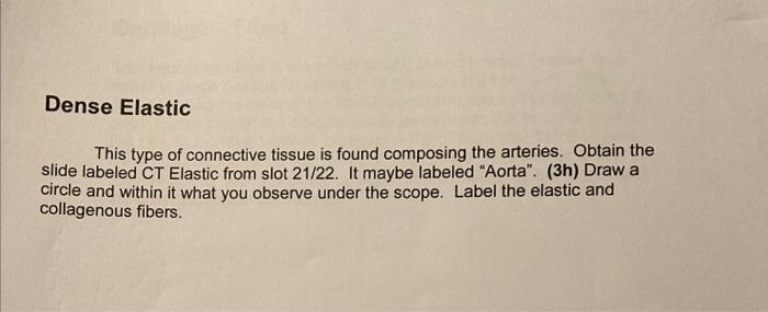 Solved Dense Elastic This type of connective tissue is found | Chegg.com