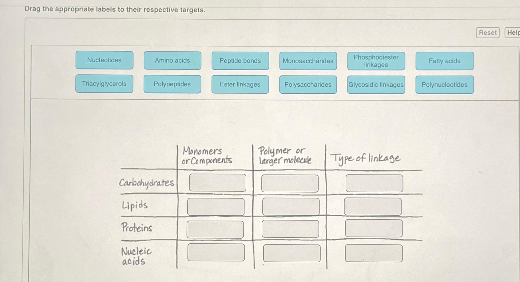 Solved Drag the appropriate labels to their respective | Chegg.com