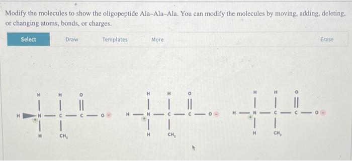 Solved Modify the molecules to show the oligopeptide | Chegg.com