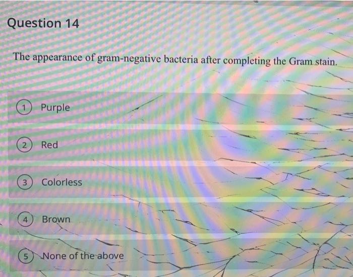 Solved Question 14 The appearance of gram-negative bacteria | Chegg.com