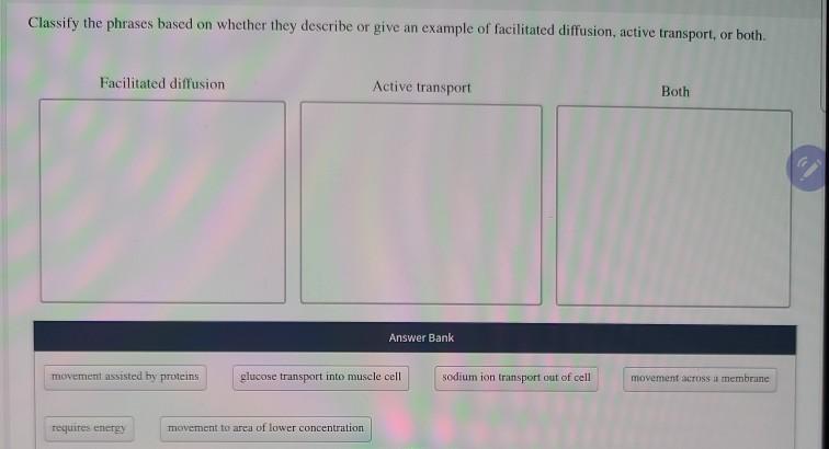 Solved Classify the phrases based on whether they describe | Chegg.com