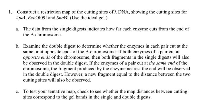 Solved 1. Construct a restriction map of the cutting sites | Chegg.com