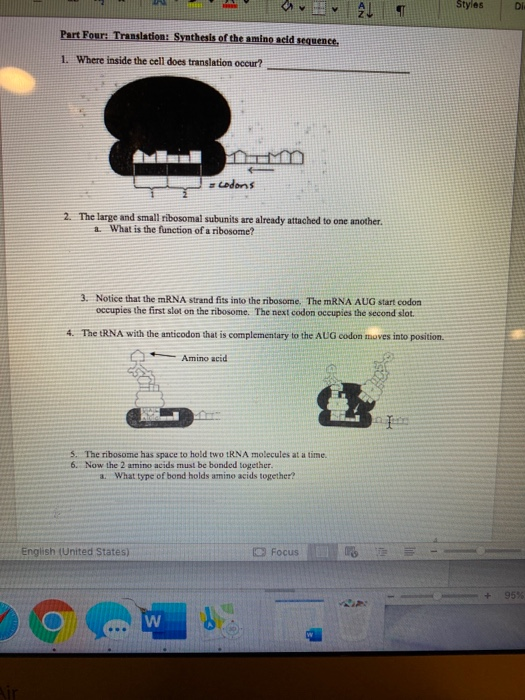 Solved DNA PUZZLE - ONLINE LAB 7. The mRNA shifts to the | Chegg.com