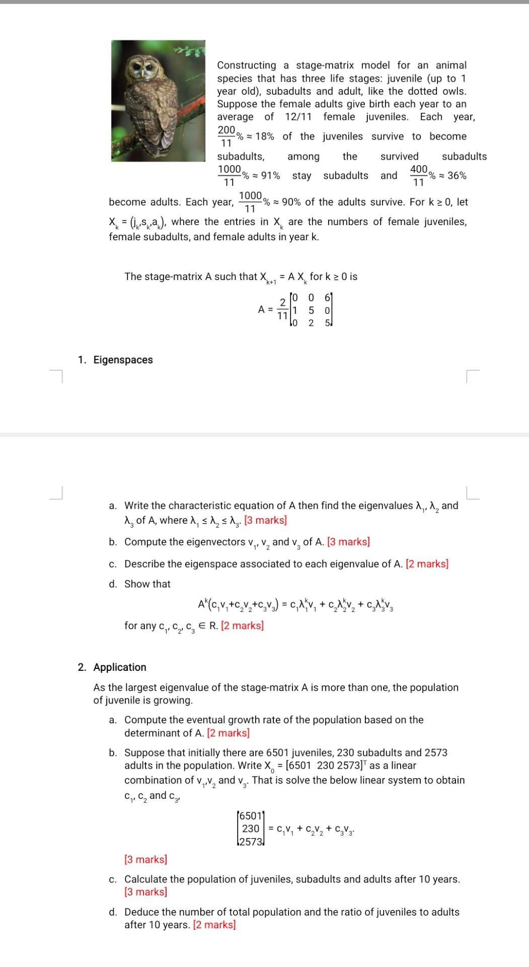 Solved Constructing a stage-matrix model for an animal | Chegg.com