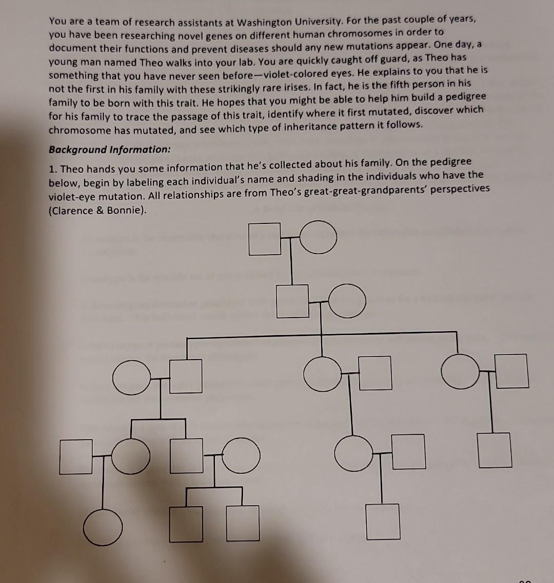 Solved This Expanded Version Of A Punnett Square Shows How 7829