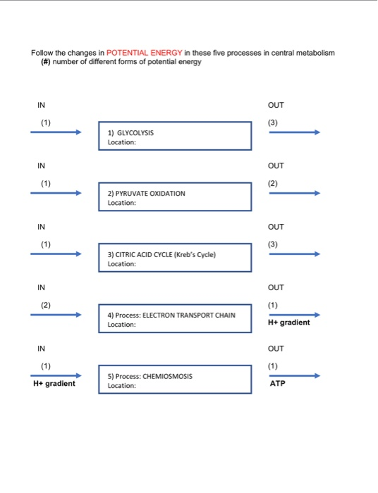 Energy Input Output Worksheet