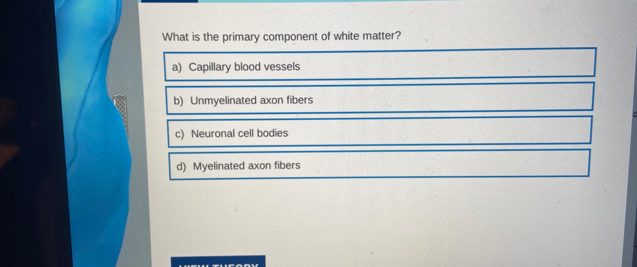 Solved What is the primary component of white matter?a)b) | Chegg.com