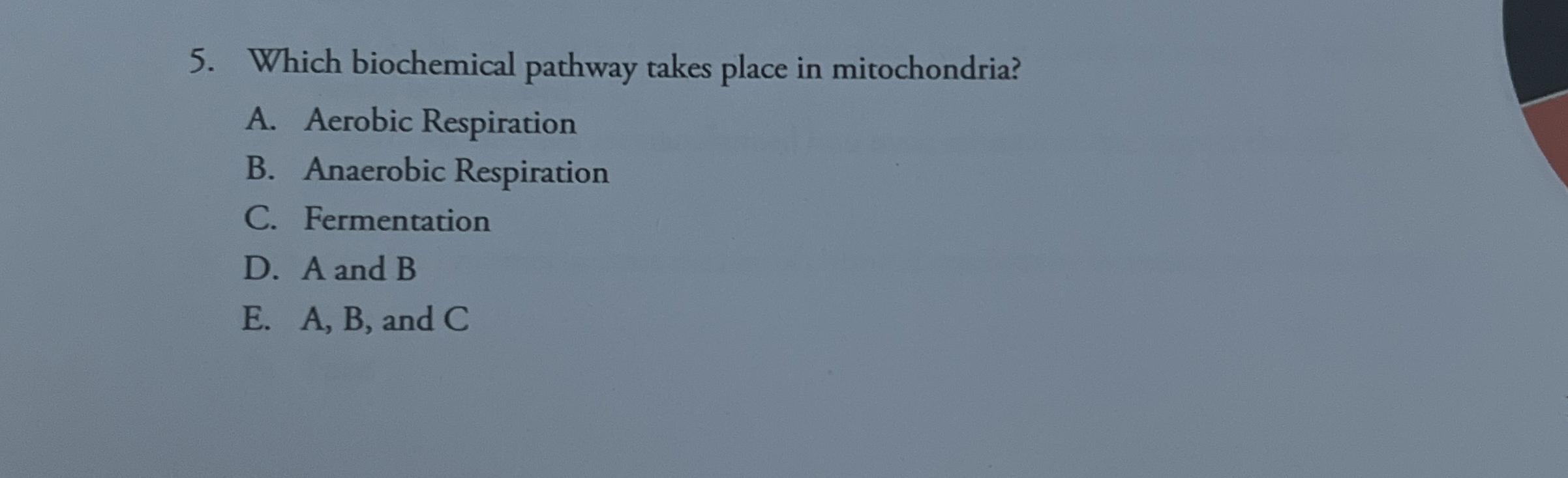 Solved Which biochemical pathway takes place in | Chegg.com