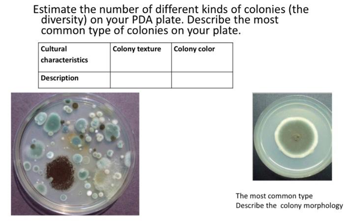 Solved Estimate the number of different kinds of colonies | Chegg.com