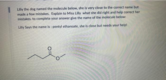 Solved Lilly the dog named the molecule below, she is very | Chegg.com