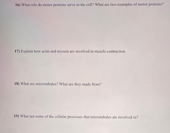 Solved 16) What role do motor proteins serve in the cell? | Chegg.com