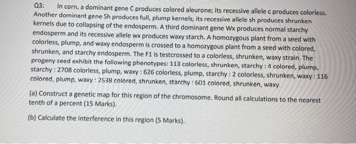 Q3: In corn, a dominant gene C produces colored | Chegg.com