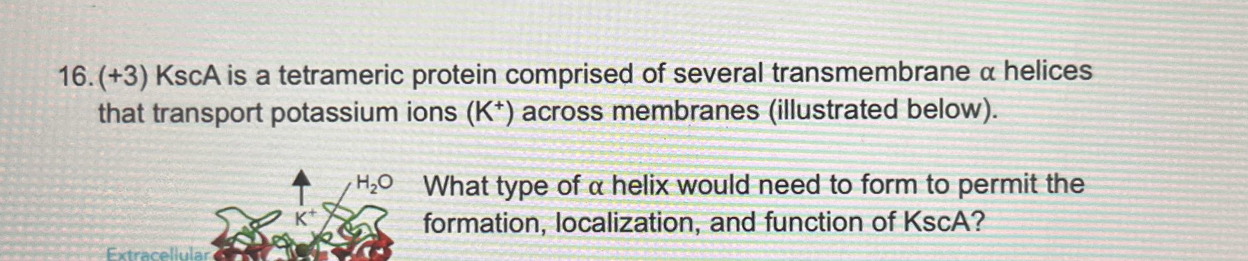 Solved (+3)KscA ﻿is a tetrameric protein comprised of | Chegg.com