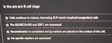 Solved In the pre-pro B cell stageCells continue to mature, | Chegg.com
