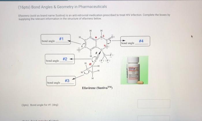 Solved Build each molecule below using the molecular | Chegg.com