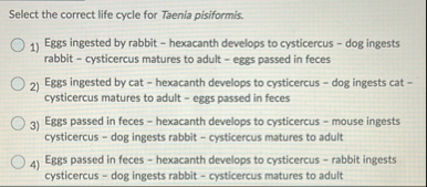 Solved Select the correct life cycle for Taenia | Chegg.com