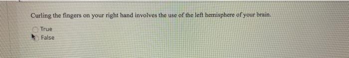 Solved Curling the fingers on your right hand involves the | Chegg.com