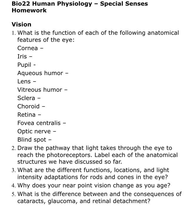 Solved Homework Vision 1. What is the function of each of | Chegg.com