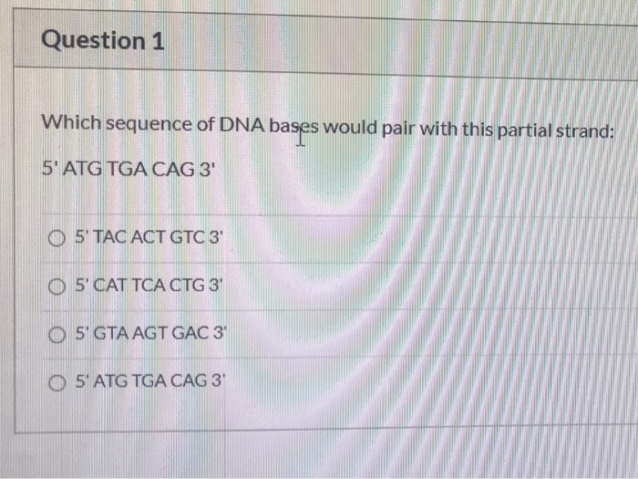 Solved Question 1 Which sequence of DNA bases would pair | Chegg.com