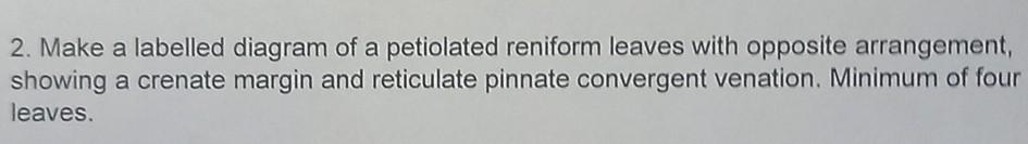 Solved 2. Make a labelled diagram of a petiolated reniform | Chegg.com