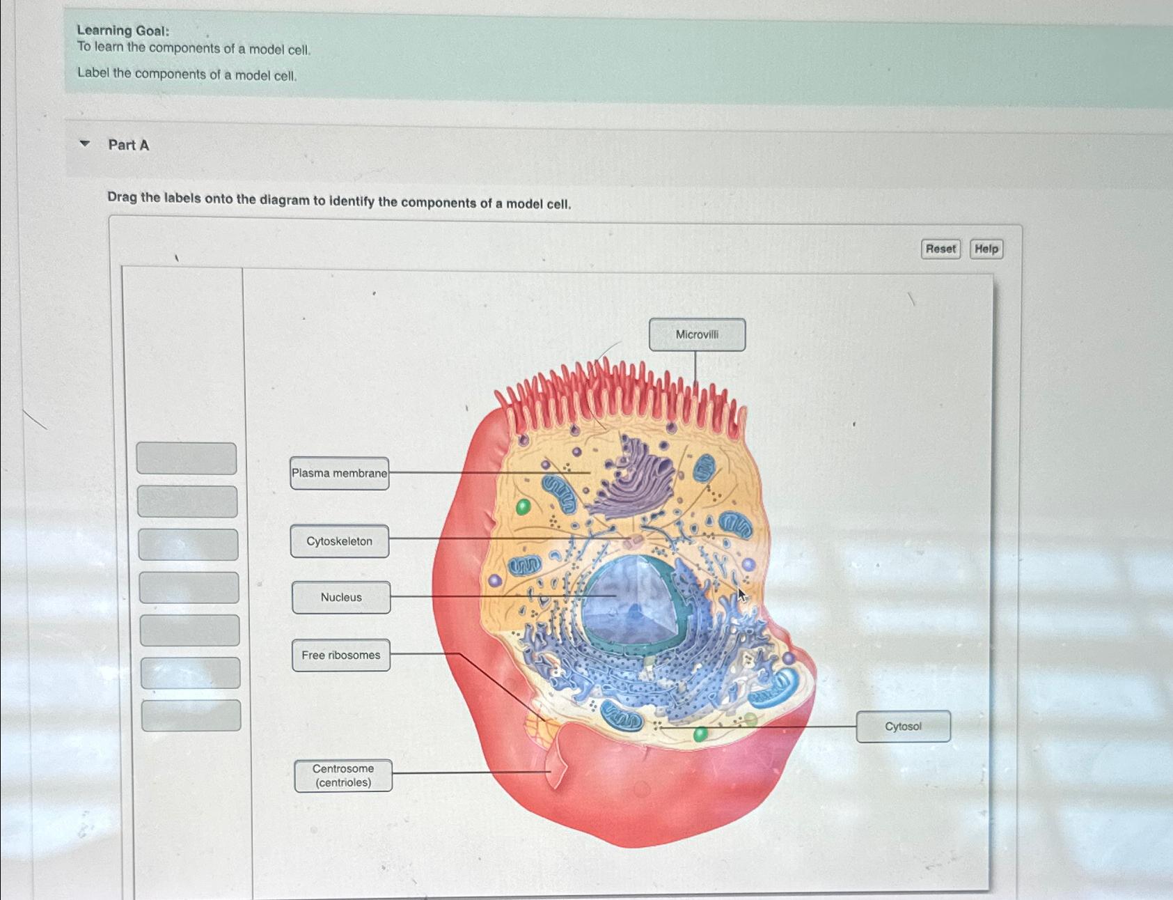 Solved Learning Goal:To learn the components of a model | Chegg.com