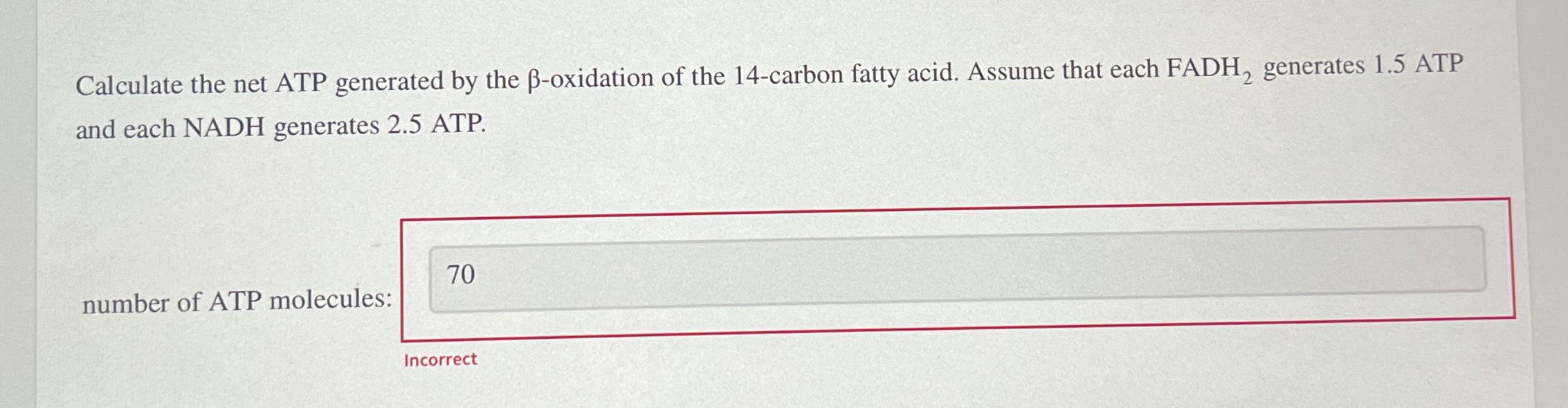 Solved Calculate the net ATP generated by the β-oxidation of | Chegg.com