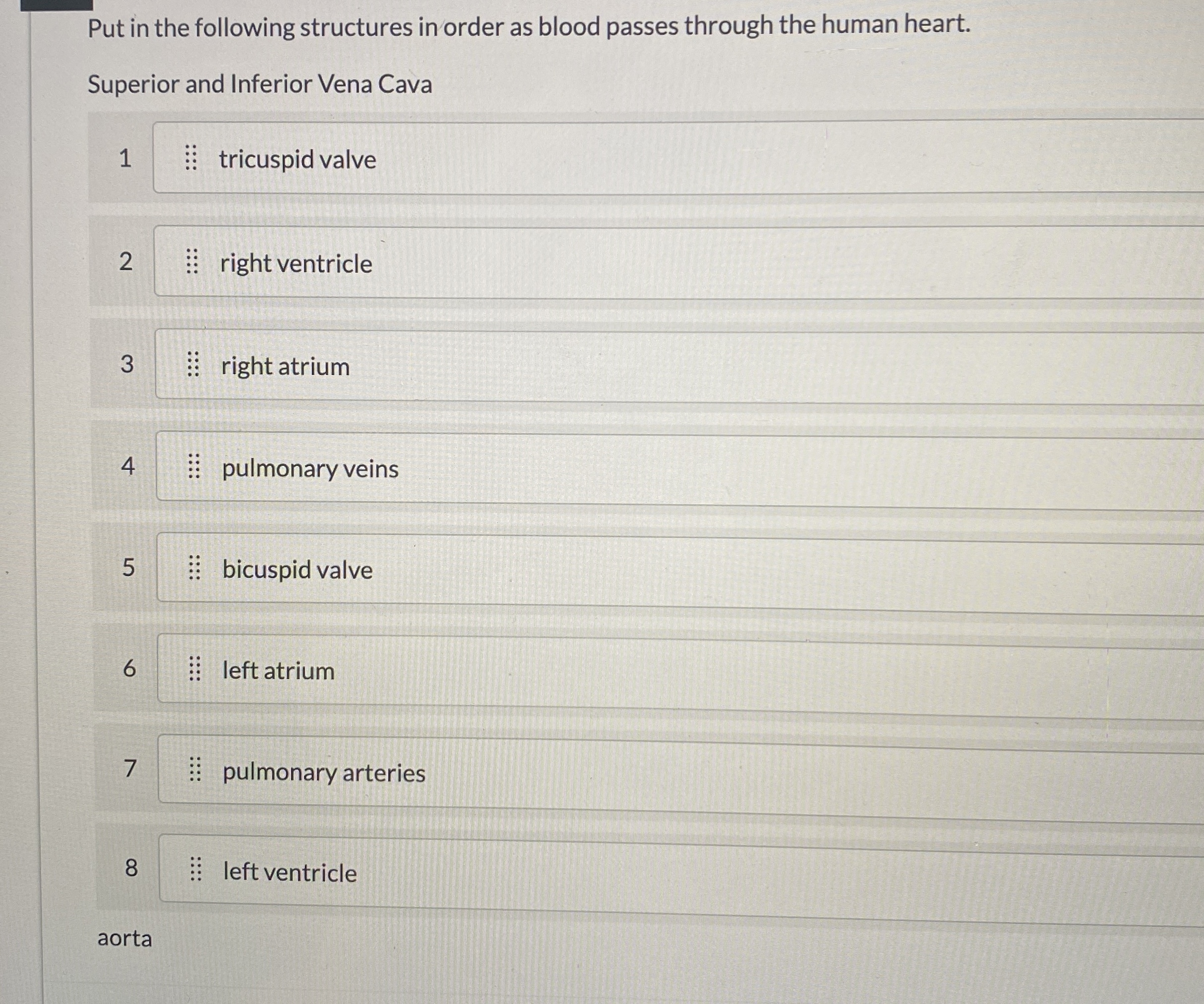Solved Put in the following structures in order as blood | Chegg.com