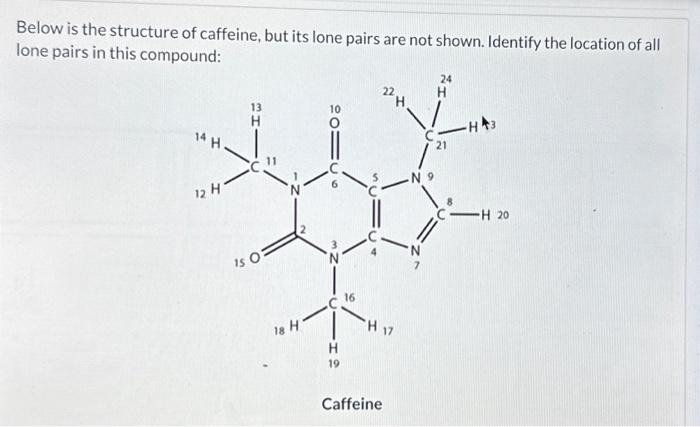 Solved Below is the structure of caffeine, but its lone | Chegg.com