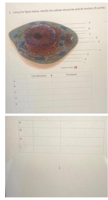 Solved OL Lab 3: Cell Membrane and Transport: Learn how | Chegg.com