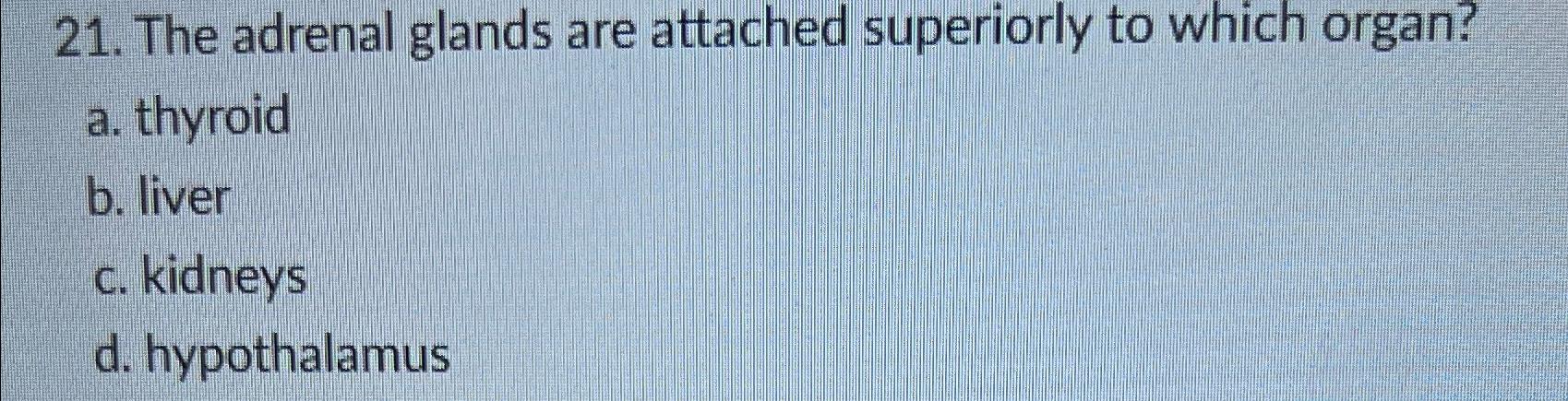 The adrenal glands are attached superiorly to which | Chegg.com