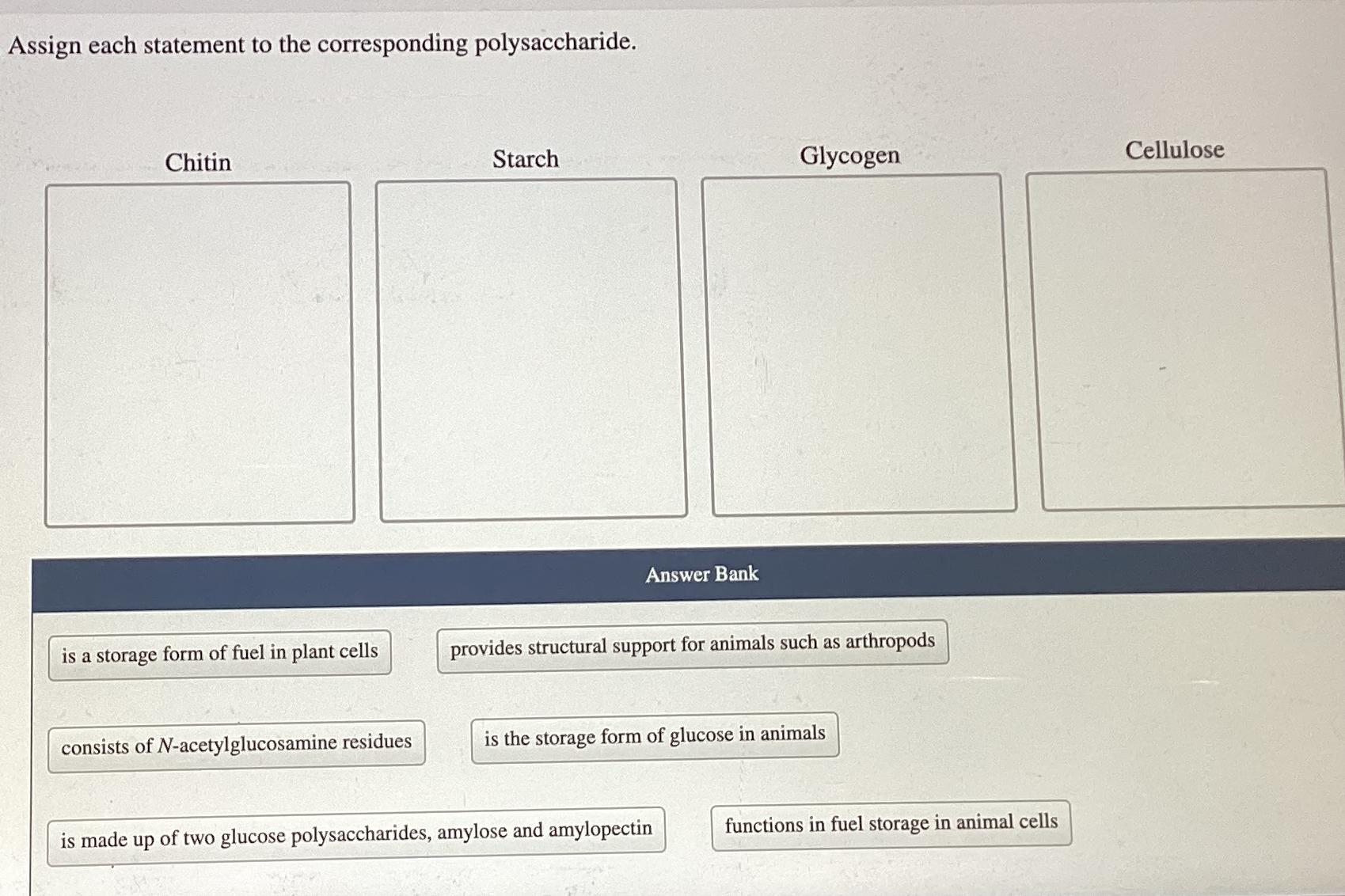 Solved Assign each statement to the corresponding | Chegg.com