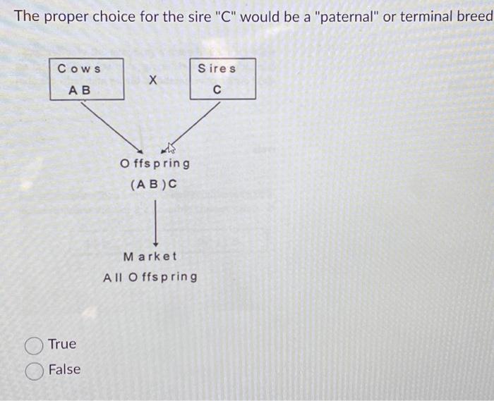Solved The proper choice for the sire " C " would be a | Chegg.com