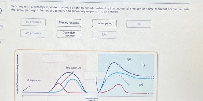 Vaccines elicit a primary response to provide a safe | Chegg.com