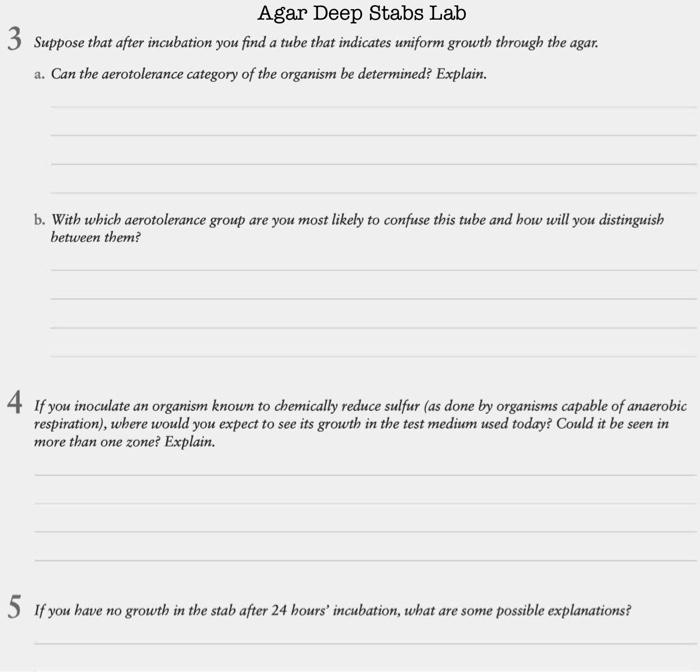 Solved Agar Deep Stabs Lab Suppose that after incubation you | Chegg.com