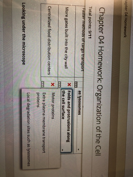 Solved Chapter 04 Homework Chapter 04 Homework: Organization | Chegg.com