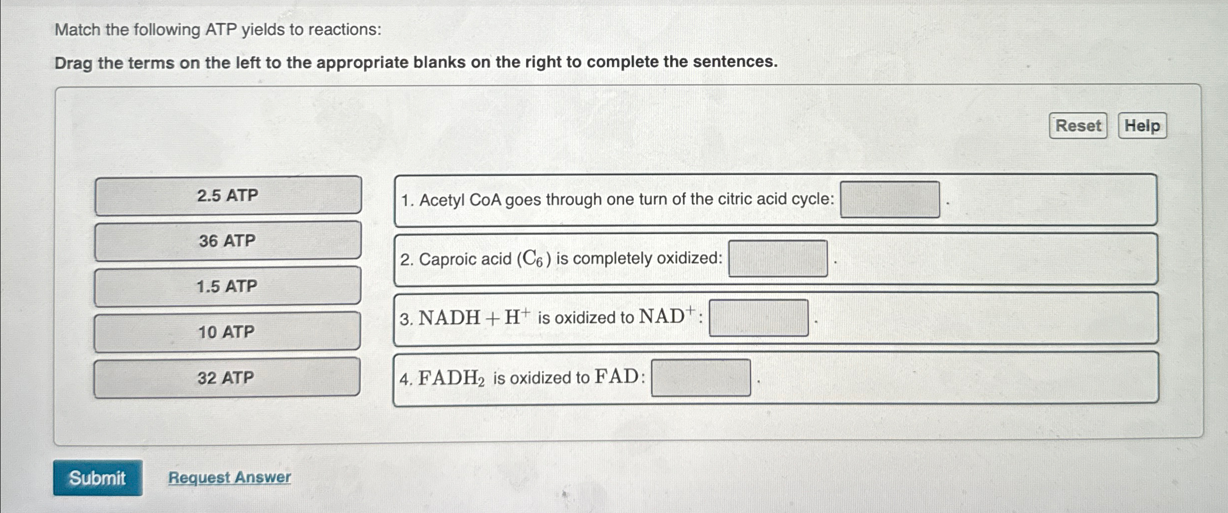 Solved Match the following ATP yields to reactions:Drag the | Chegg.com
