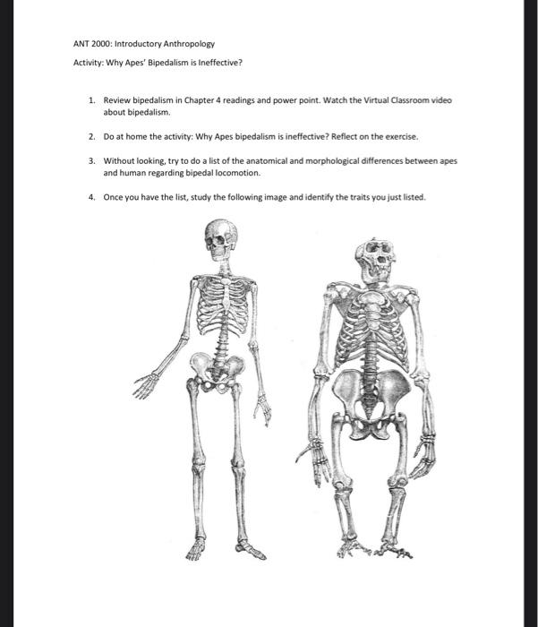 ANT 2000: Introductory Anthropology Activity: Why | Chegg.com