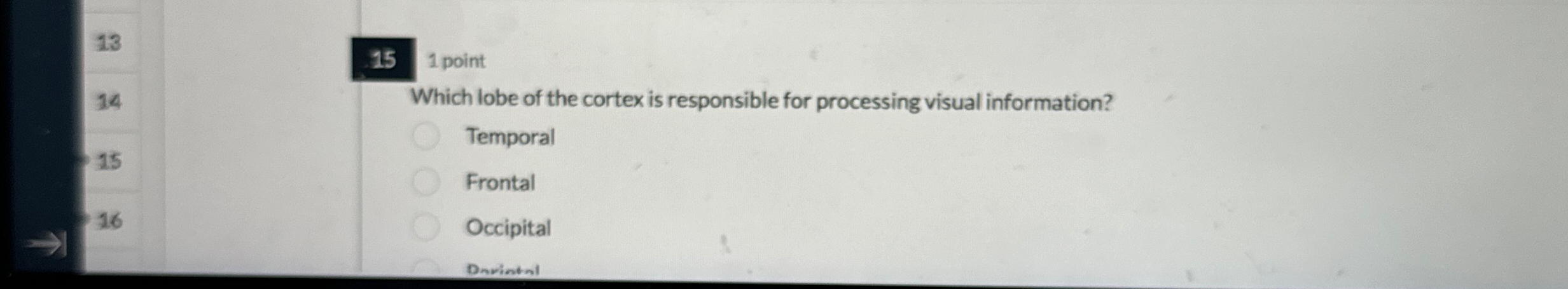 Solved 13151 ﻿point14Which lobe of the cortex is responsible | Chegg.com