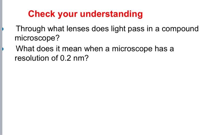 Solved Check your understanding Through what lenses does | Chegg.com
