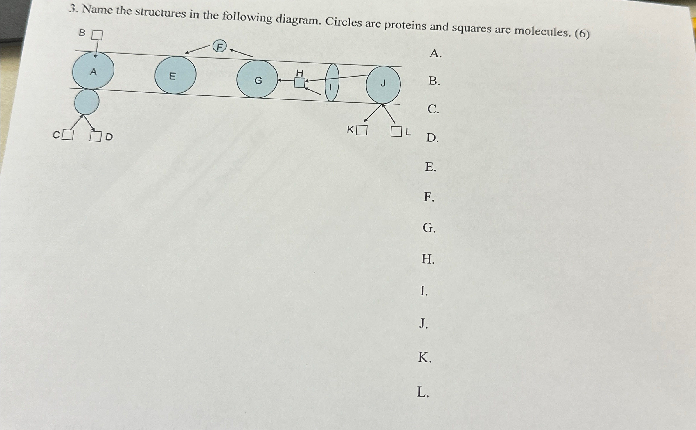 Solved Name the structures in the following diagram. Circles | Chegg.com