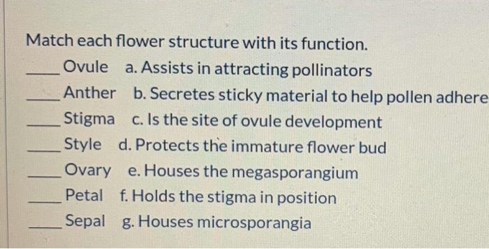 Flower Function And Structure | Best Flower Site Flower Function And Structure | Best Flower Site