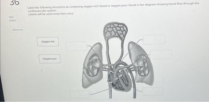 Solved Label the following structures as containing | Chegg.com