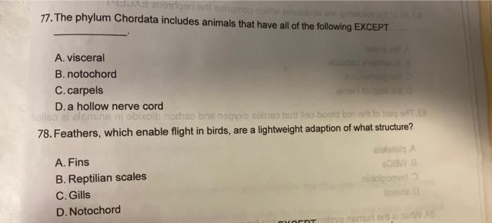 Solved 88. How do arteries differ from veins? A. Arteries | Chegg.com