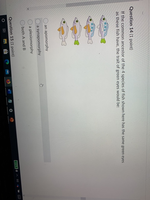 Solved Question 14 (1 point) If the common ancestor of the 4 | Chegg.com