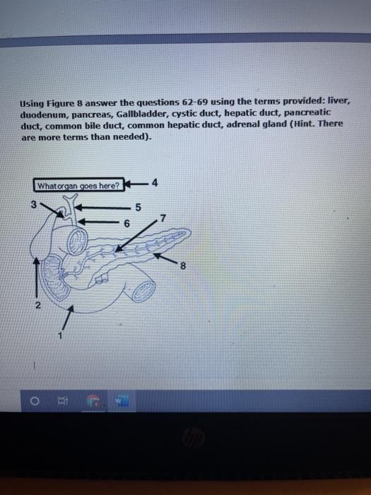 Solved Using Figure 8 answer the questions 62-69 using the | Chegg.com Solved Using Figure 8 answer the questions 62-69 using the | Chegg.com