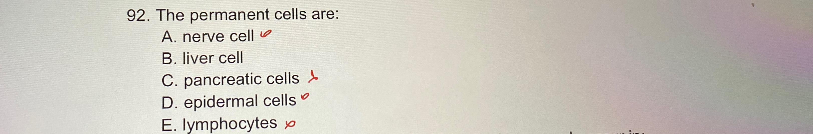 Solved The permanent cells are:A. ﻿nerve cellB. ﻿liver | Chegg.com