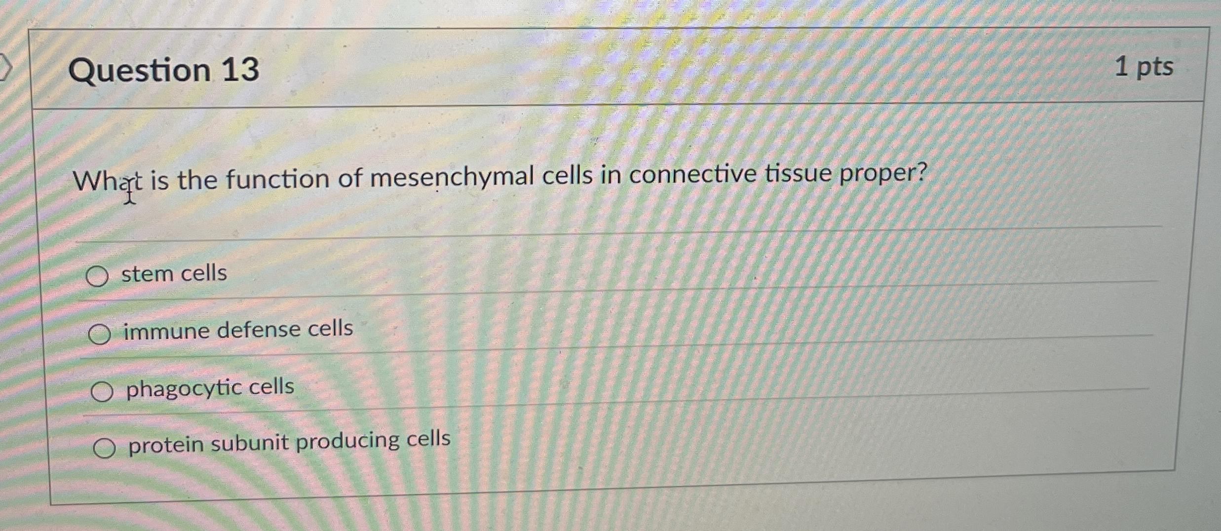 Solved Question 13What is the function of mesenchymal cells | Chegg.com