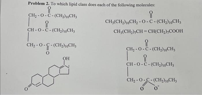 Problem 2. To which lipid class does each of the | Chegg.com