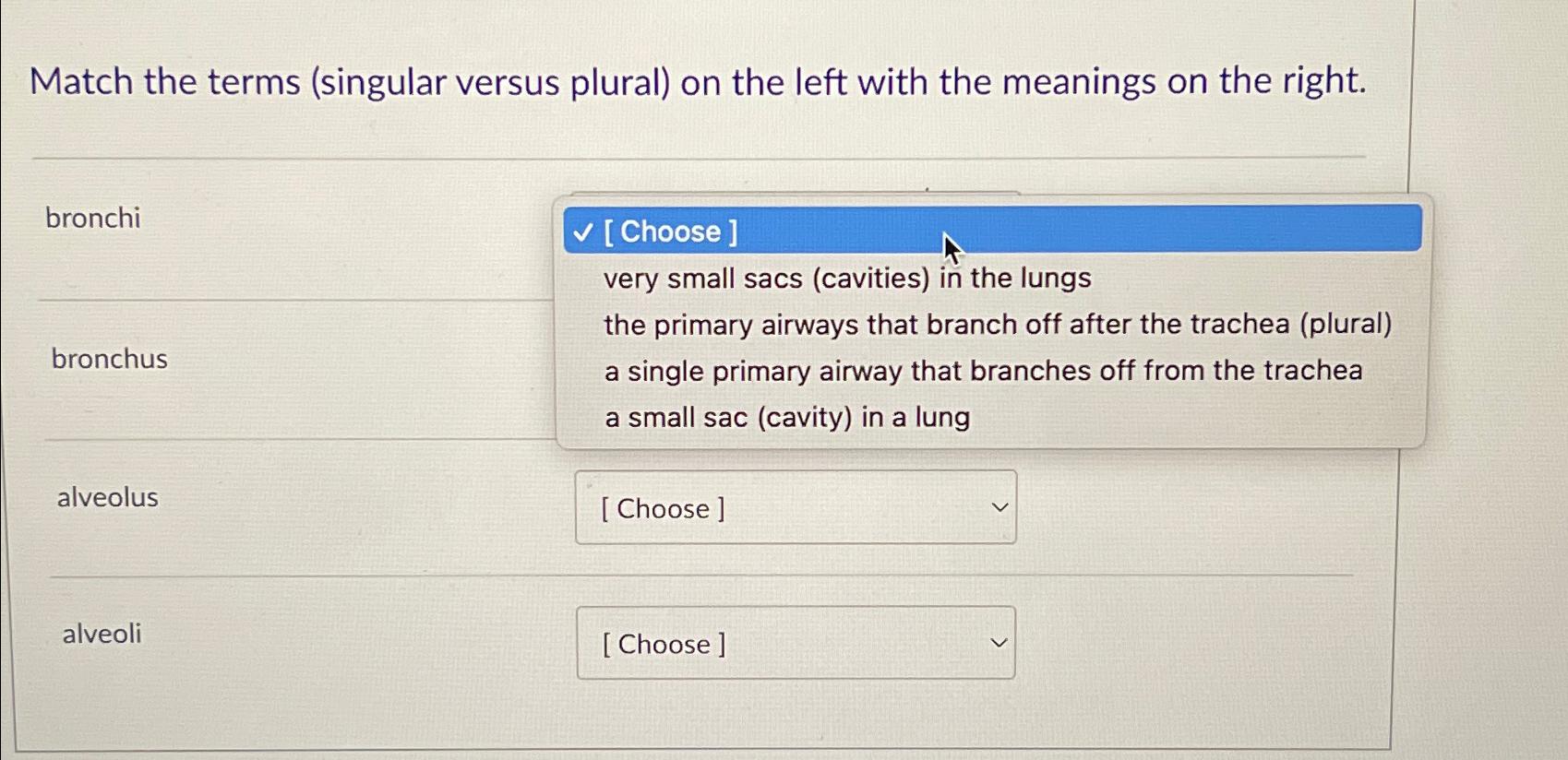 Solved Match the terms (singular versus plural) ﻿on the left | Chegg.com